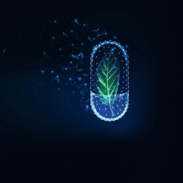 B 1440 | Progress in packaging technology